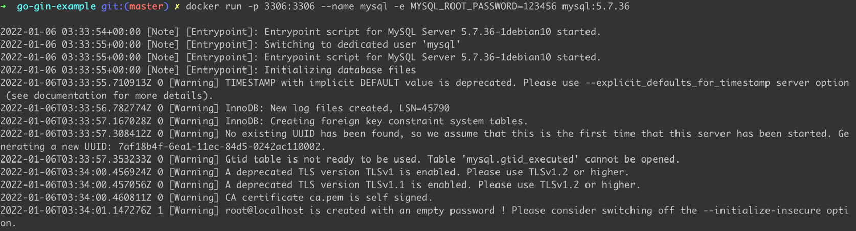 Docker部署mysql实例用于本地测试 容器 大数据笔记